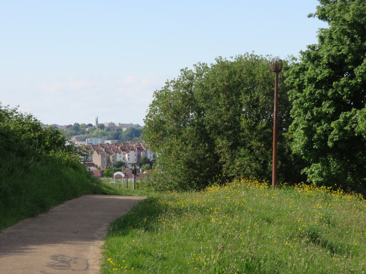 Time for the Northern Slopes to shine – Mike's Bristol Walks