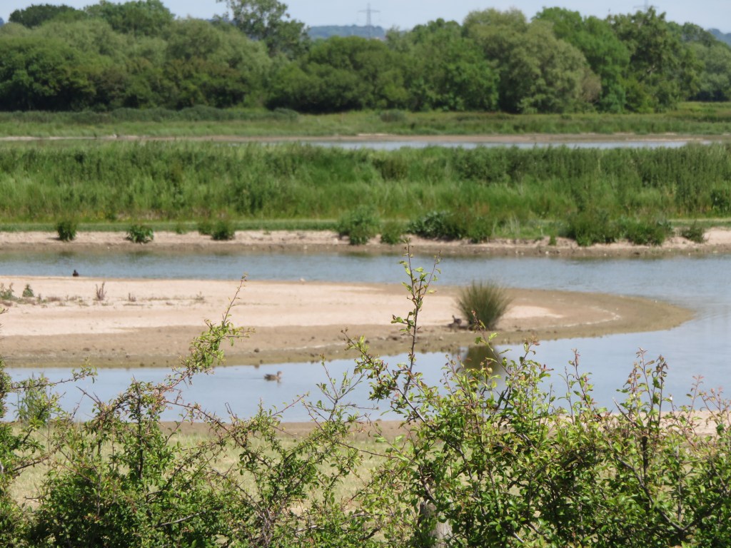 Walk Thirty-One: Severn Beach – Mike's Bristol Walks