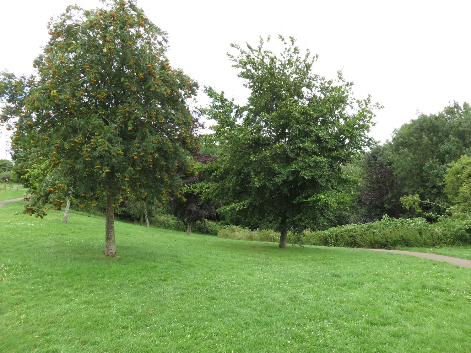 Walk Twenty-Nine: Willsbridge Mill – Mike's Bristol Walks