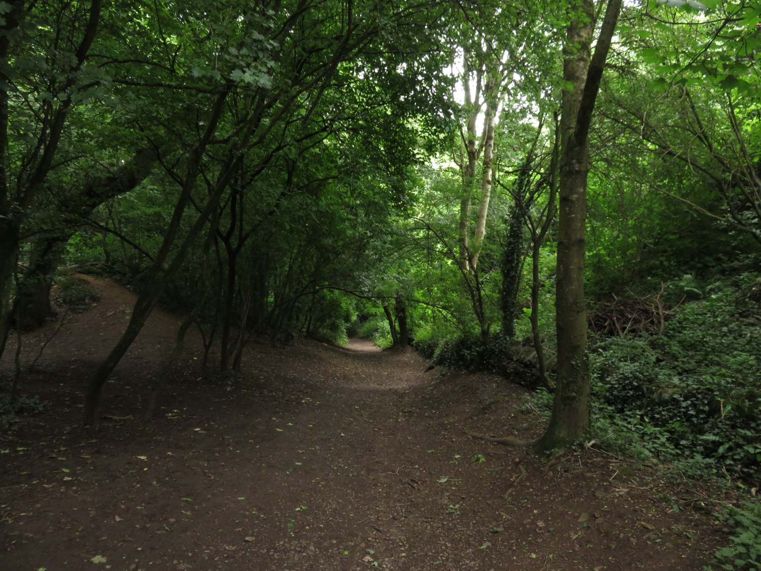 Walk Twenty-Nine: Willsbridge Mill – Mike's Bristol Walks