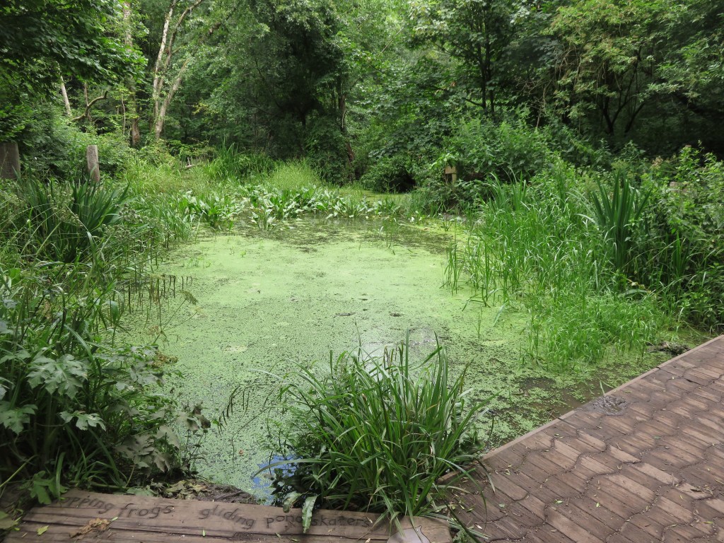 Walk Twenty-Nine: Willsbridge Mill – Mike's Bristol Walks