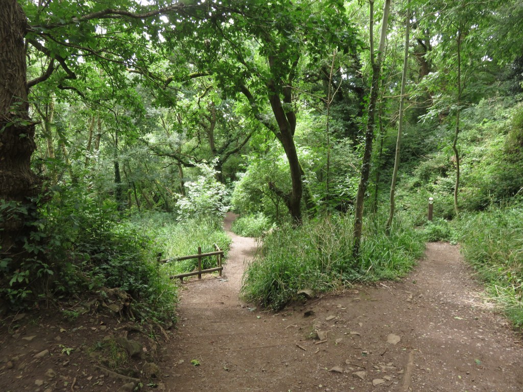 Walk Twenty-Nine: Willsbridge Mill – Mike's Bristol Walks