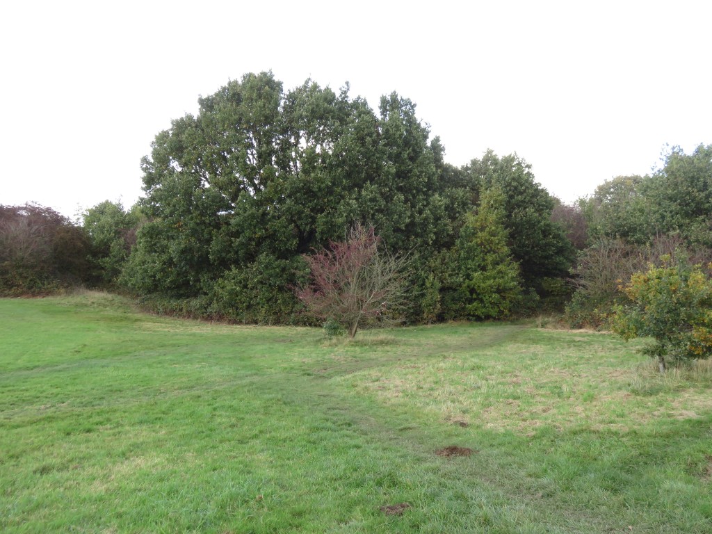 Walk Thirty: Siston Common – Mike's Bristol Walks